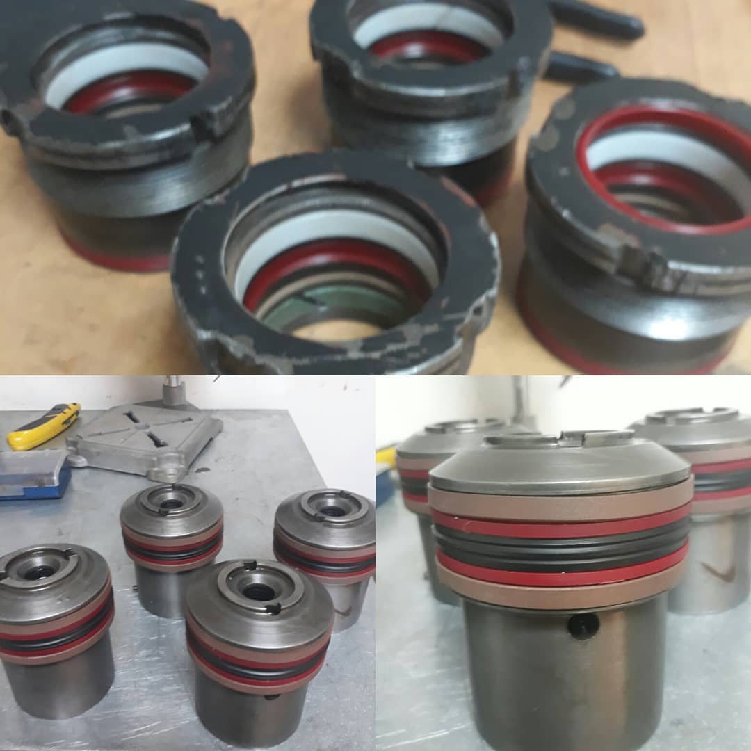 Galería -SEALS XPRESS